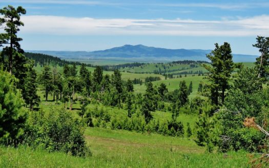Montana Ranches for Sale | Premier Ranch Real Estate | UC Ranch Properties