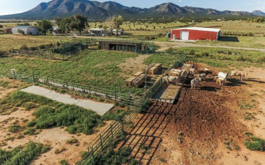 New Mexico Ranches for Sale | Premier Ranch Real Estate | UC Ranch ...