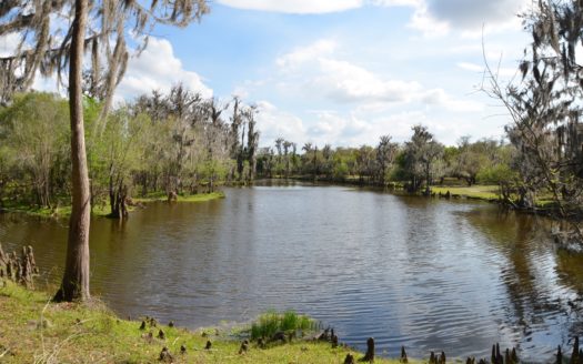 Florida Ranches for Sale | Premier Ranch Real Estate | UC Ranch Properties