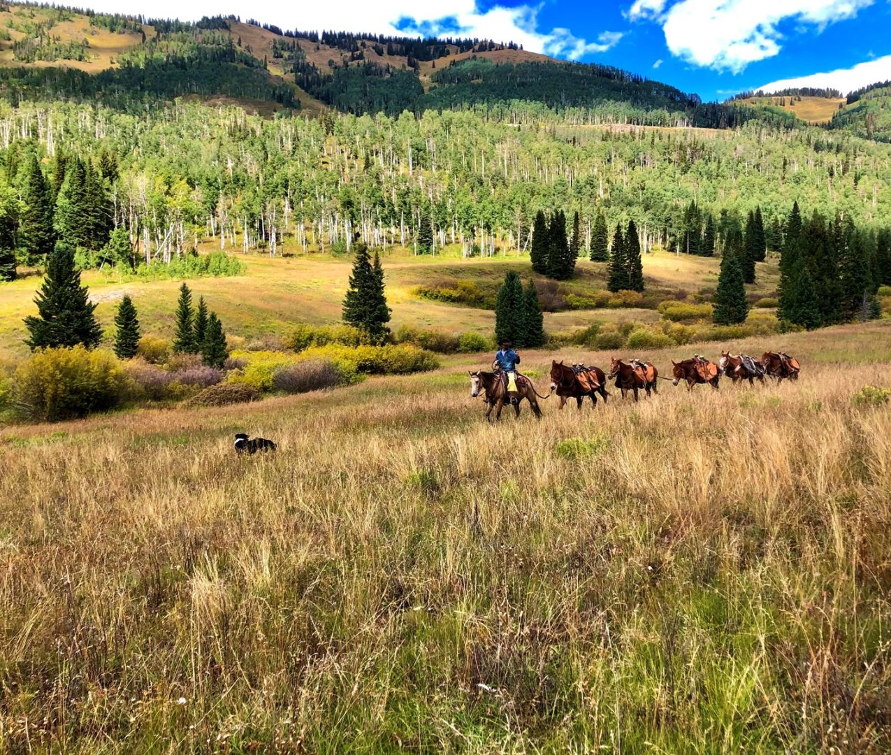 Colorado Outfitting Business & Horse Ranch - Beautiful 70 Acres | UCRP