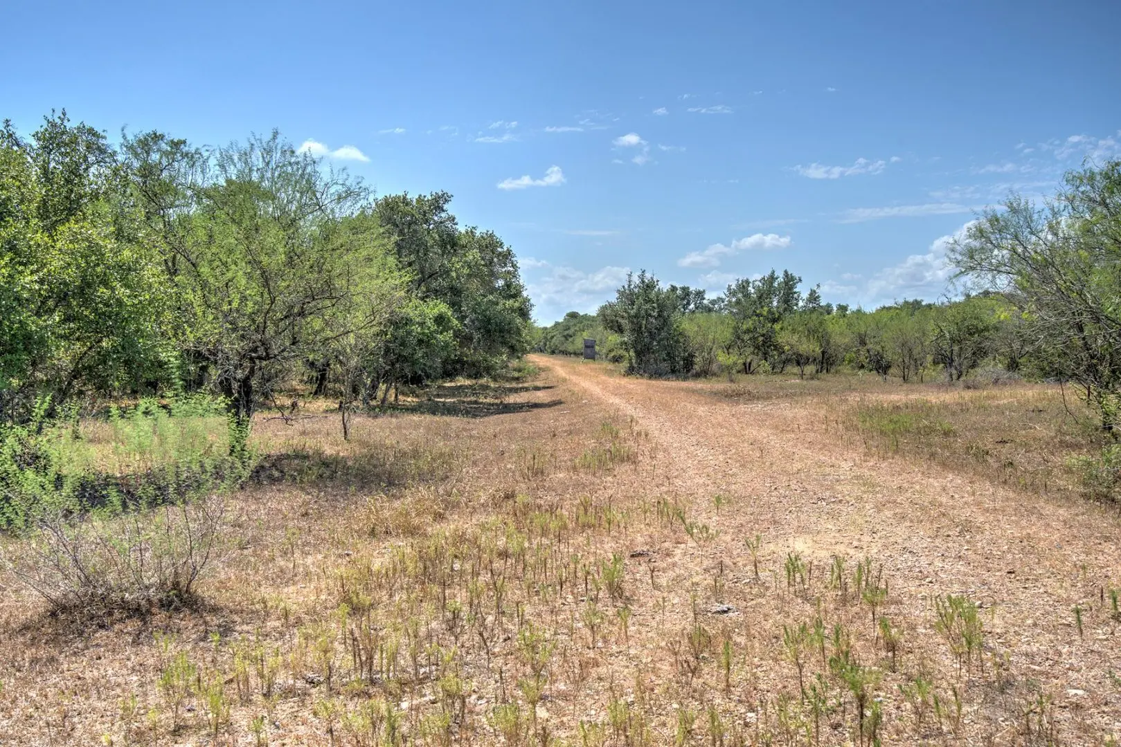 857 Acres of Premier Ranch Land in Thomaston, TX | UCRP