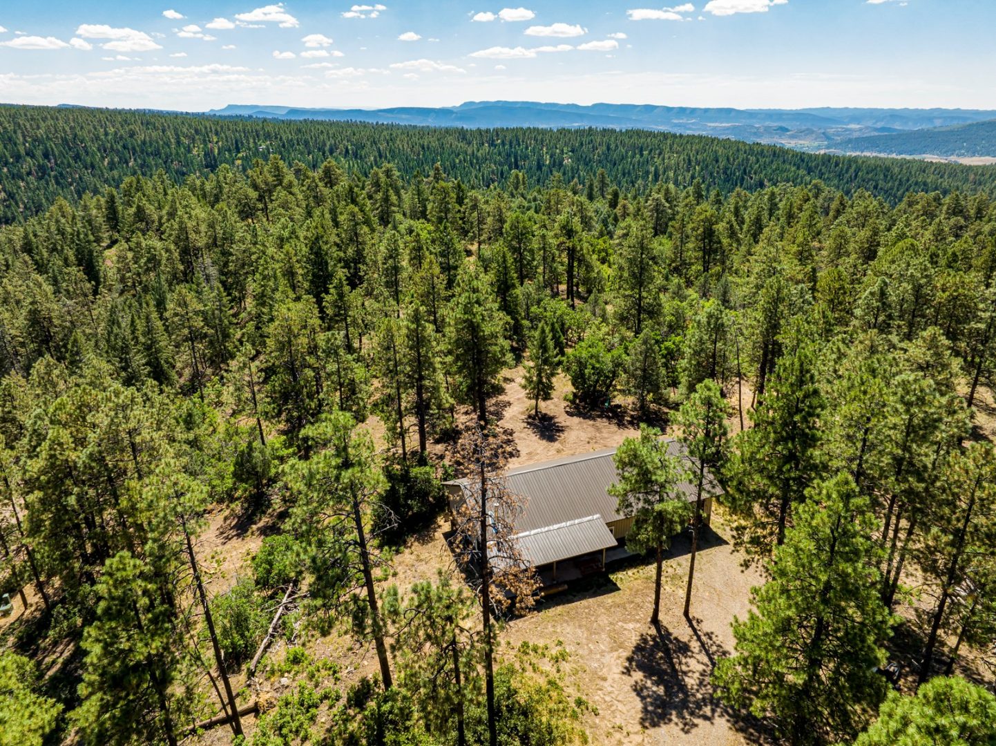 Premier Hunting Ranch in Pagosa Springs, CO - 175 Acres | UCRP