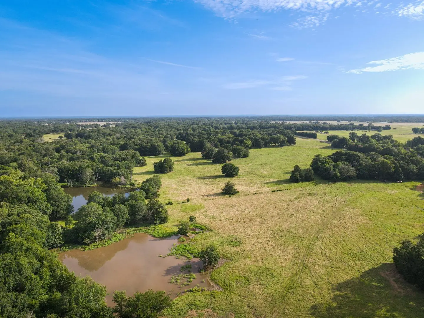 110 Acres of Gently Rolling Land in Fannin County, TX - Ideal for ...